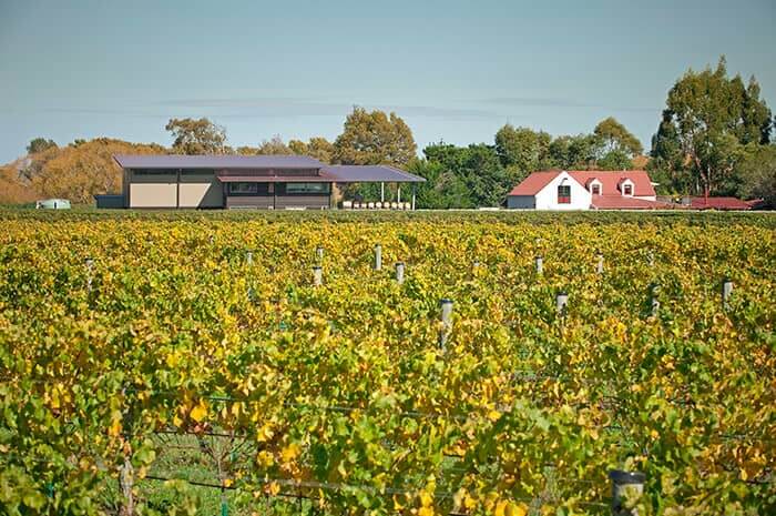 Wineries and Vineyards for Sale